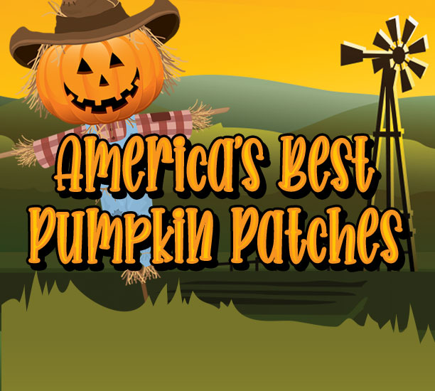America’s Best Pumpkin Patches